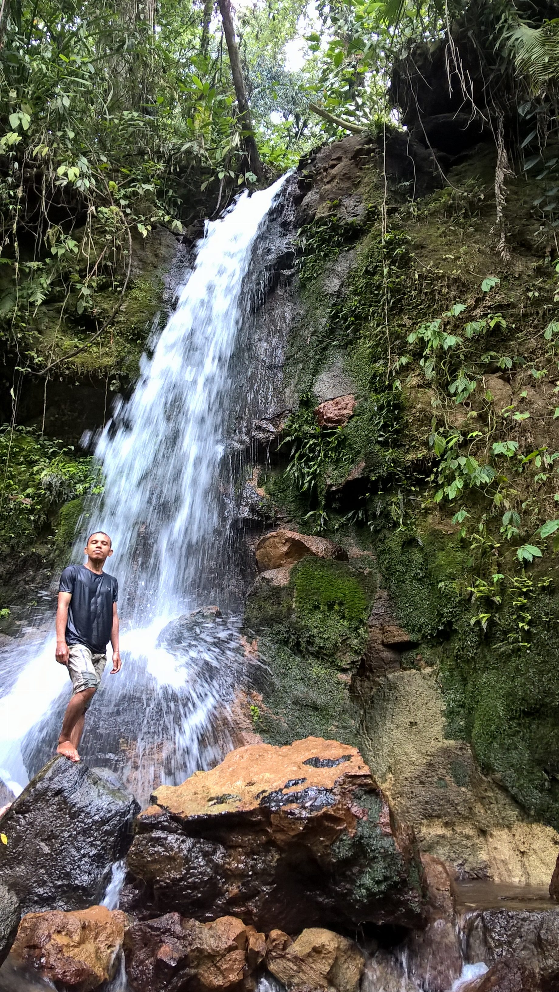 Jelajah Taman Nasional Gunung Halimun - Backpacker Jakarta