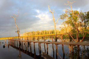 Kesunyian Danau Rawa Biru, Papua