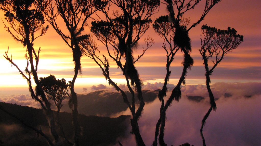16 Hari Menggapai Puncak Gunung Tertinggi Aceh, Gunung Leuser