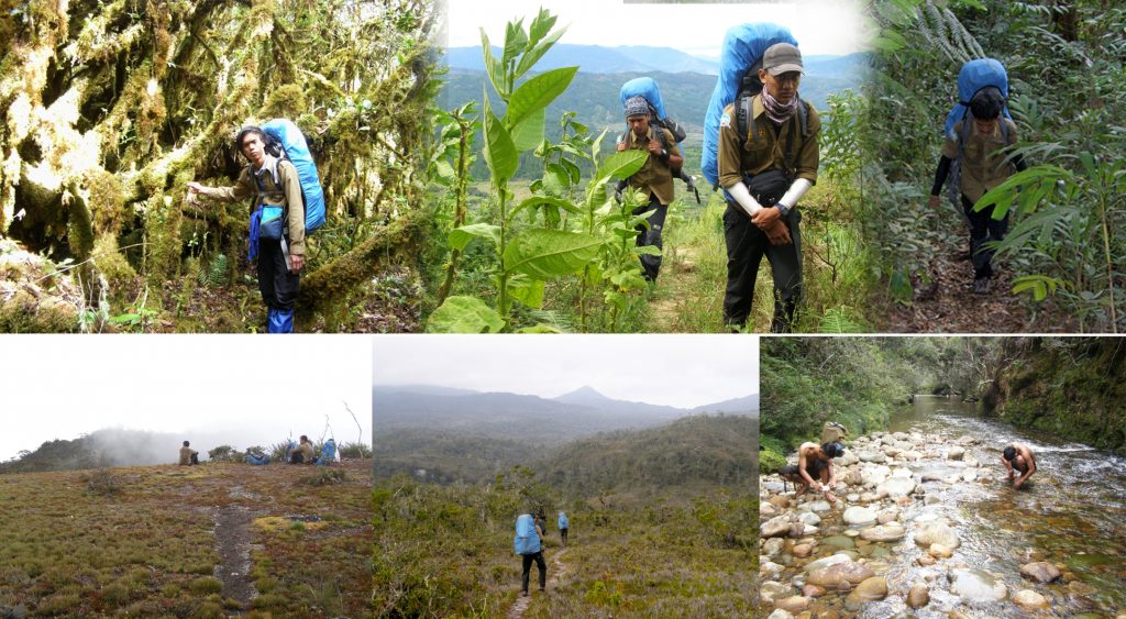 16 Hari Menggapai Puncak Gunung Tertinggi Aceh, Gunung Leuser