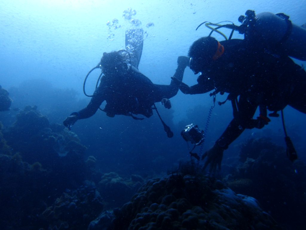 Yuk, Mengenal Scuba Diving.