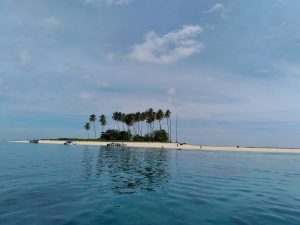 Pulau Manimbora, Pulau Spongebobnya Indonesia