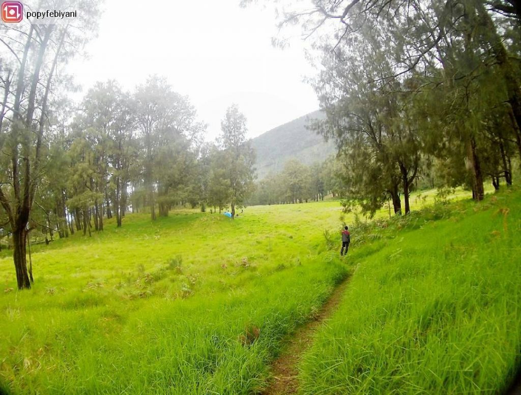 Indahnya Gunung Arjuno, Gunung tertinggi ke 4 di Pulau Jawa