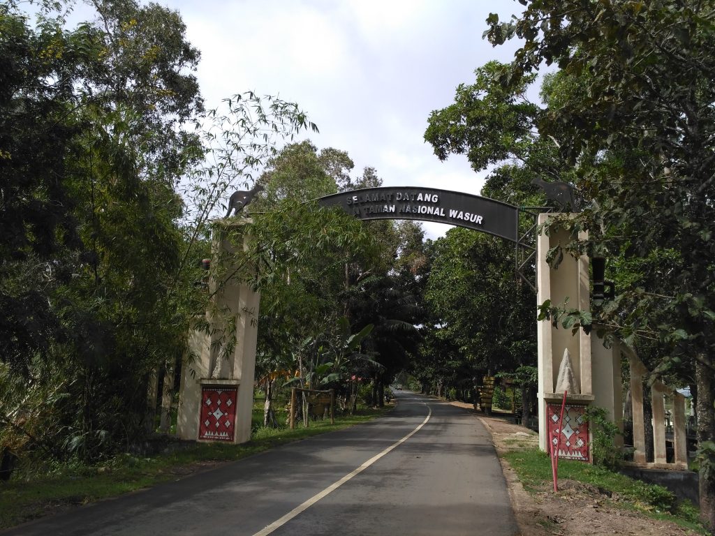 Mau ke Merauke, Baca 5 Hal penting ini