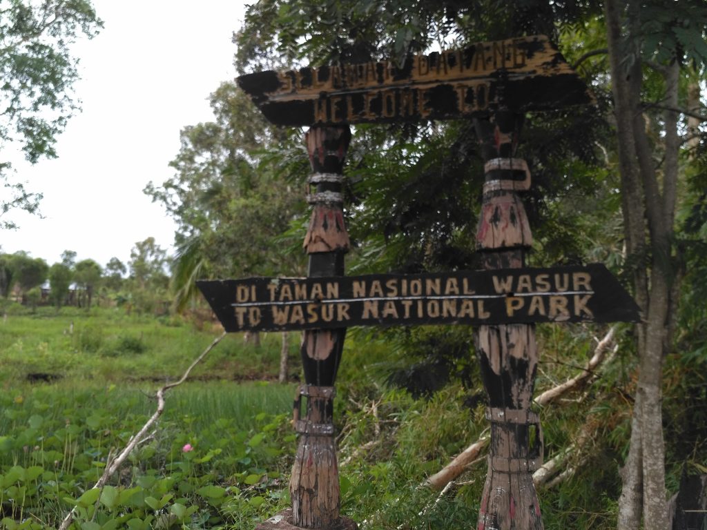 Mau ke Merauke, Baca 5 Hal penting ini