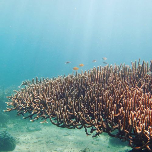 Inilah Pulau Matan, Objek Wisata Tak Jauh Dari Kota Sorong